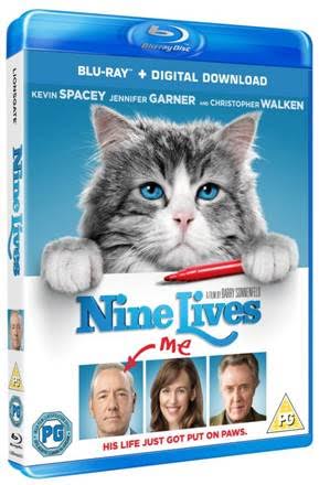 Are these the best cats on film?